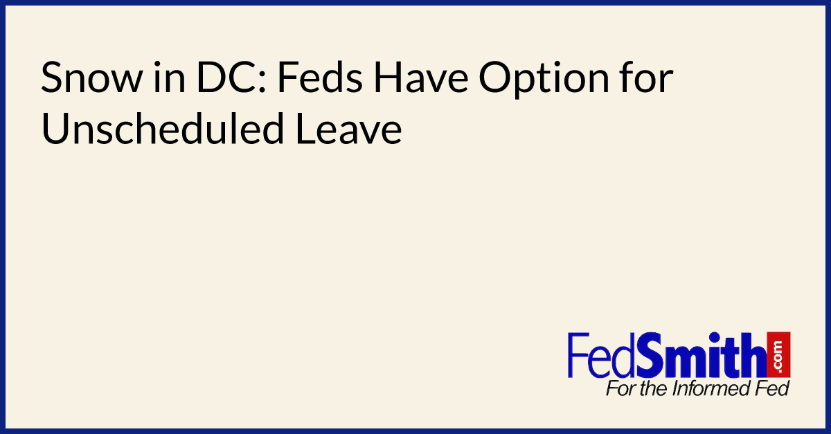Snow In DC: Feds Have Option For Unscheduled Leave | FedSmith.com